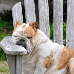 “Pastors are tired” – a help for that and yet, what do you expect?